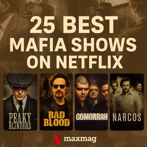 14 Best Mafia Series on Netflix — Gritty Crime & Cartel Dramas