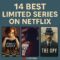 14 Best Limited Series on Netflix: Must-Watch One-Season Stories